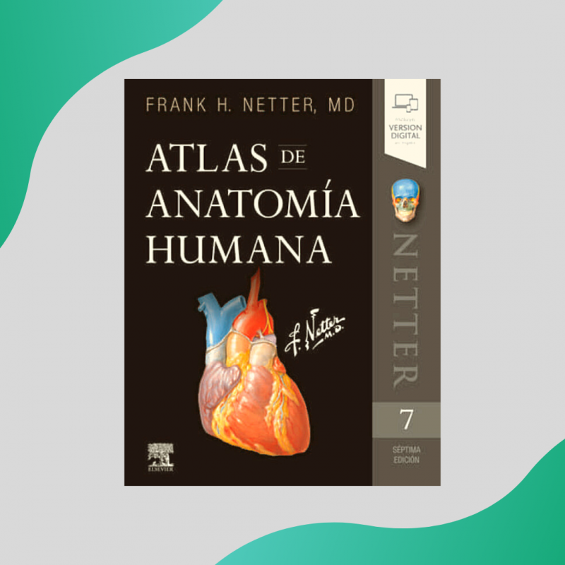 Netter Atlas De Anatomia Humana 7 Edicao Pdf