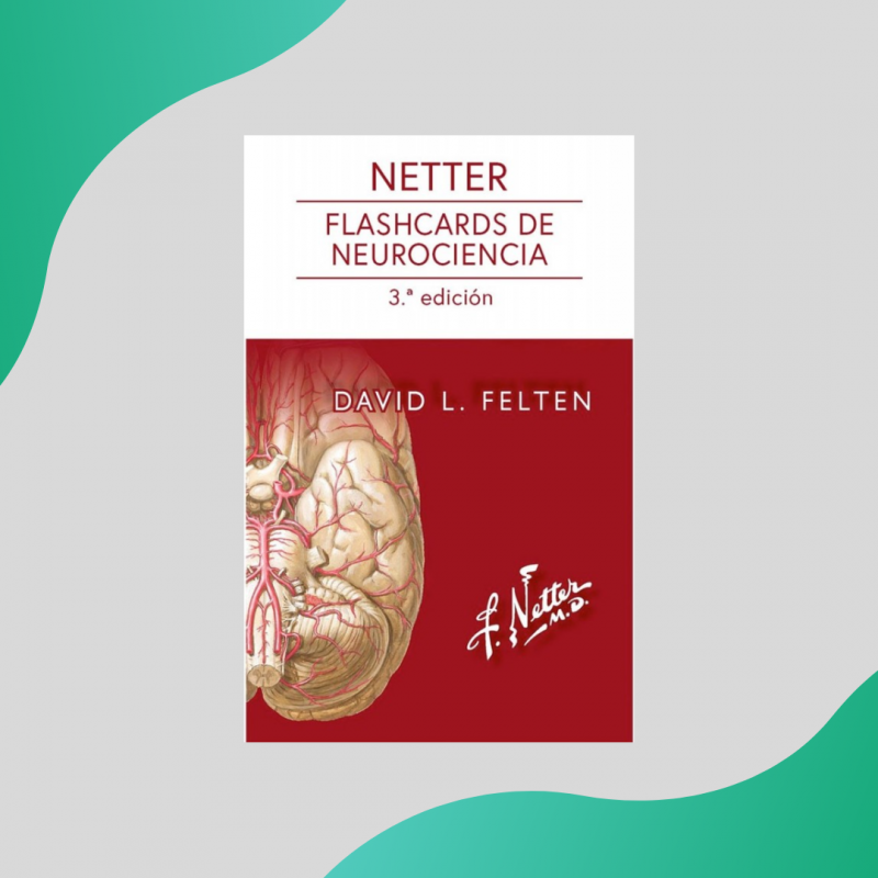 NETTER - ATLAS ANATOMÍA HUMANA ABORDAJE REGIONAL 8ED - ELSEVIER