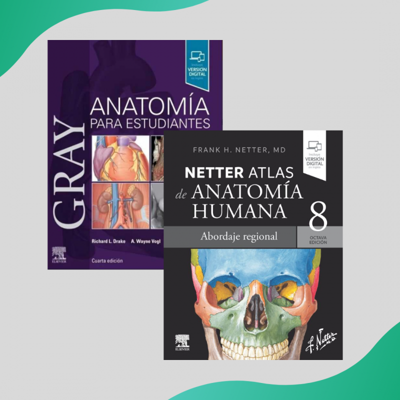 Paquete - Drake - Netter - Anatomía - Elsevier